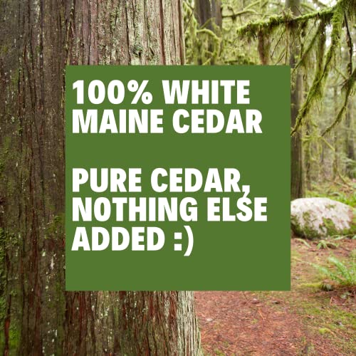 East Coast Cedar Planks for Grilling Salmon Made from 100% Natural Maine White Cedar -12 Pack - Adds a Delicious Smokey Flavor - Great for All Fish and Meatsā¦