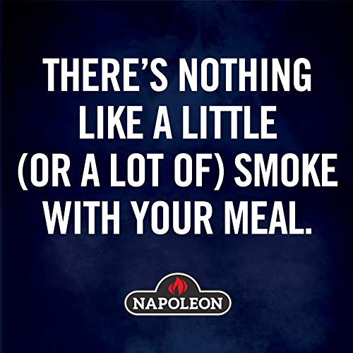Cast Iron Reversible Griddle for all TravelQ™ 285 Series - 56080 - Napoleon Barbecue Grill Accessory, Fits All TravelQ™ 285 Series Portable Barbecue Grills, Cast Iron Griddle, Reversible, Non-Stick
