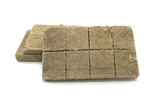 Aura BBQ All Natural Charcoal Barbeque Fire Starters, 24-Count for Big Green Egg, Kamado Joe, Primo Grill, Vision Grill, Weber Kettle, Fireplaces, Camp Fires and More!