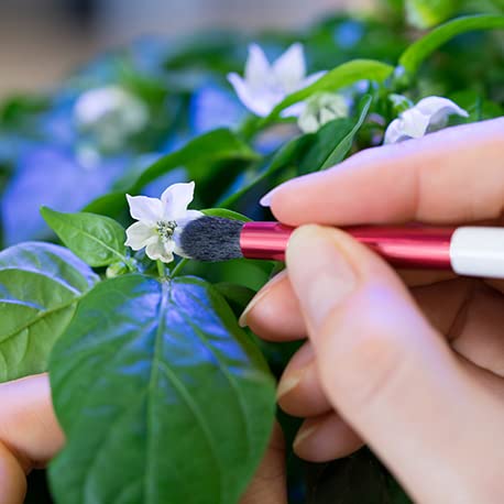 Veritable Garden Pollination Brush