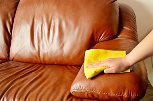 ForceField Leather Cleaner and Conditioner