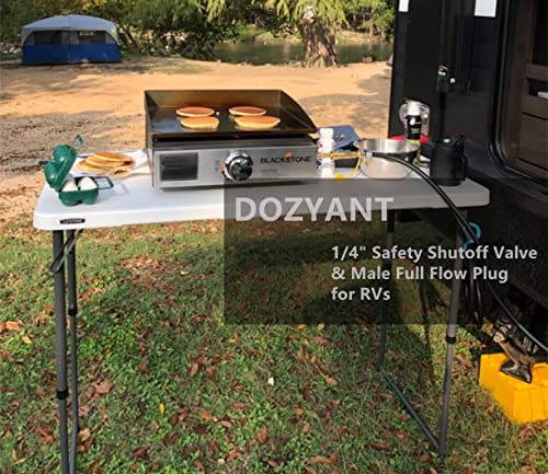 DOZYANT 12 feet Low Pressure Propane Quick-Connect Hose, RV Quick Connect Propane Hose, Quick Disconnect Propane Hose Extension - 1/4β Safety Shutoff Valve & Male Full Flow Plug for RVs