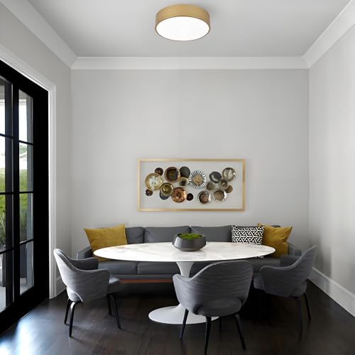 erpymi Modern Gold Flush Mount Ceiling Light, 2-Lights Round Ceiling Light, Minimalistic Ceiling Lamp Acrylic Shade Lighting Fixture for Bedroom Laundry Room Bathroom Hallway(11.8 Inch)
