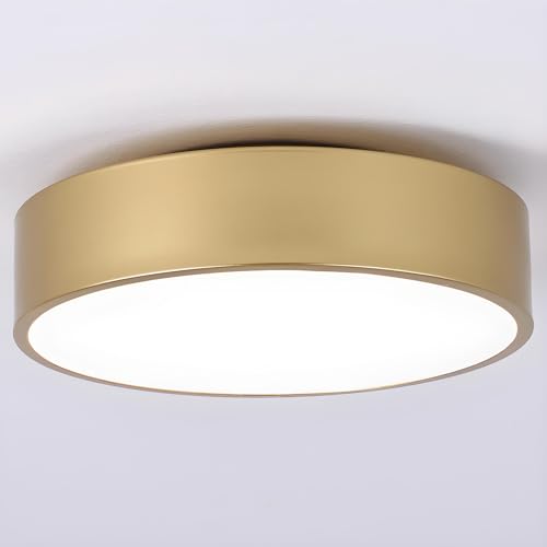 erpymi Modern Gold Flush Mount Ceiling Light, 2-Lights Round Ceiling Light, Minimalistic Ceiling Lamp Acrylic Shade Lighting Fixture for Bedroom Laundry Room Bathroom Hallway(11.8 Inch)