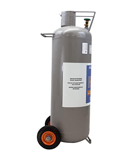 Flame King YSN100HOGa 100 LB Pound Horizontal & Vertical Propane Cylinder POL Valve, Gray
