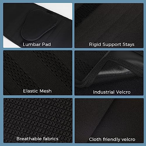 FITBELTZ Back Brace for Men and Women Back Belt for Lower Back Pain Relief, Herniated Disc, Sciatica and Scoliosis, Breathable Mesh and Adjustable Lumbar Lower Back Support Belt