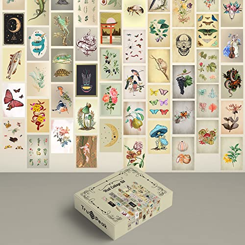 Trupeak 50 pc Vintage Wall Collage kit, Cottagecore Room Decor for Teens, Perfect Posters for Room Aesthetic, Earthy Cottagecore Room Decor Picture