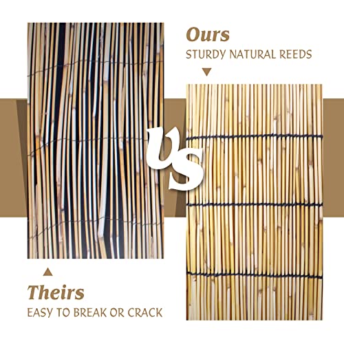 Tgzwme Natural Reed Fence Roller Blind,6FT X 16.4FT Bamboo Fencing Privacy Reed Screening for Outdoor, Gallery, Restaurant, Hotel, Patio