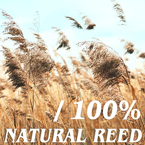 Tgzwme Natural Reed Fence Roller Blind,6FT X 16.4FT Bamboo Fencing Privacy Reed Screening for Outdoor, Gallery, Restaurant, Hotel, Patio