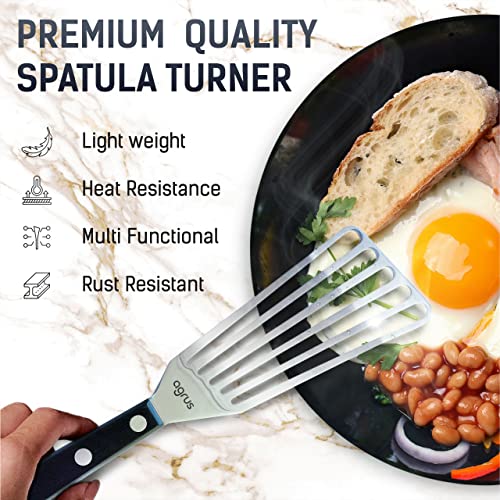 AGRUS Fish Spatula Stainless Steel, Grill, Egg, Omelette, Pancake, Metal Angled Slotted Turner