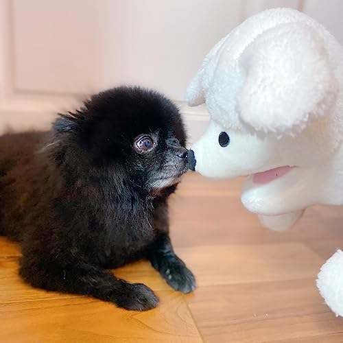 BONBI ALCON Animal Mitten Love Dog Dachshund, Plush Dog Chew Toy, with Whistle