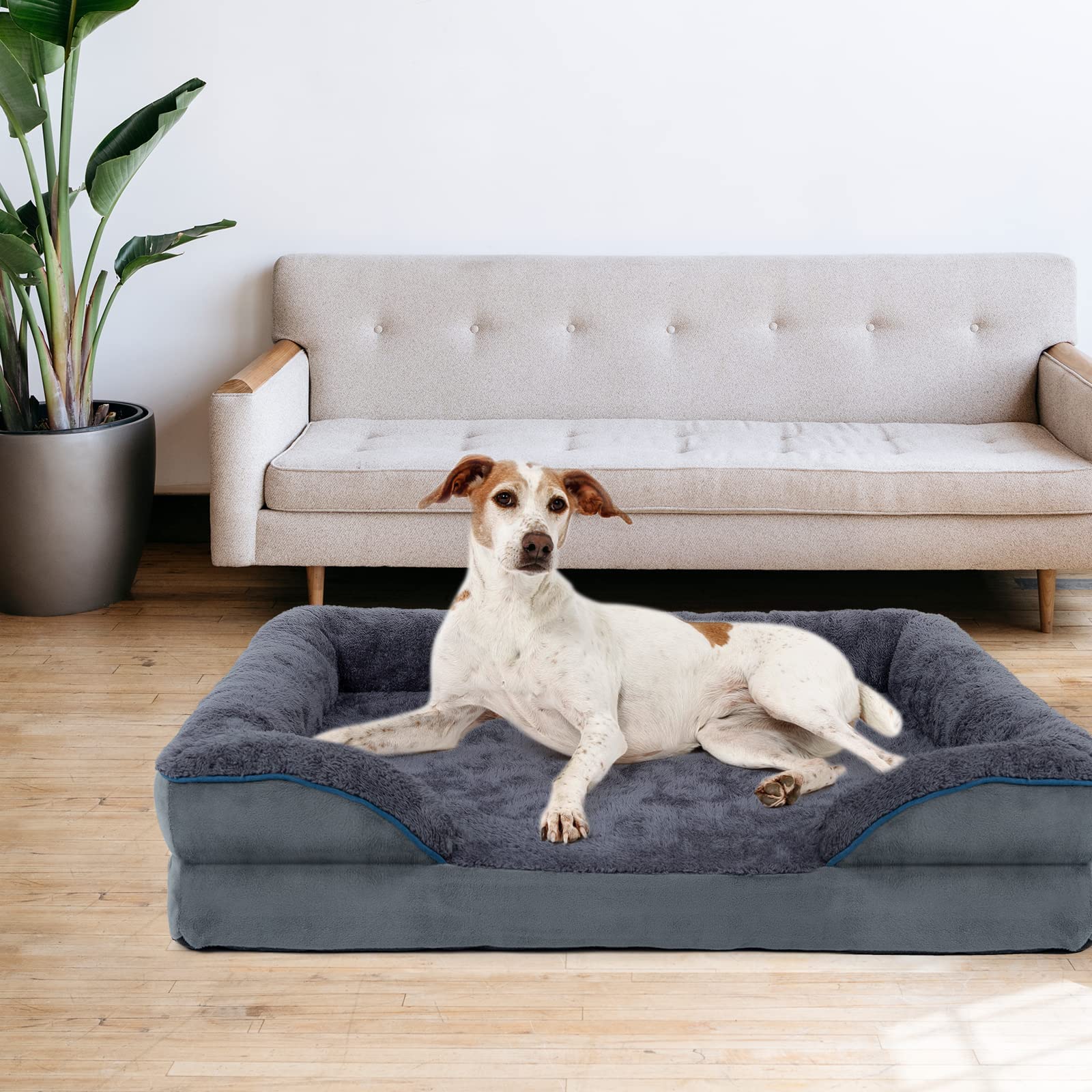 Bnonya Dog Bed, Dog Bed for Large Dogs, Bolster Pet Bed Couch with Removable Washable Cover, Egg Foam