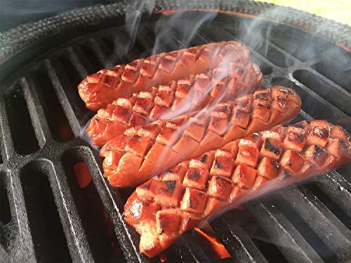 Dracarys 15.5" Cast Iron Grids Grate Fire Pit Big Green Egg Accessories Replacement Parts Grill & Smoker Round Grilling Cooking Grate Fit for Medium Big Green Egg Grill & Smoker,Fire Pit(M - 15.5")