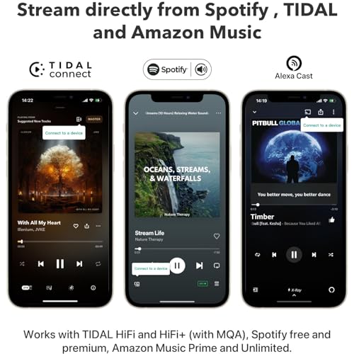 WiiM Pro Plus AirPlay 2 Receiver, Google Cast Audio, Multiroom Streamer with Premium AKM DAC, Voice Remote, Works with Alexa/Siri/Google, Stream Hi-Res Audio from Spotify, Amazon Music, Tidal and More