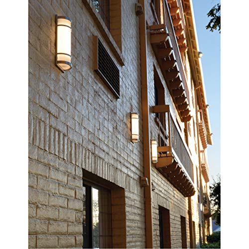 AFX Lighting BRW213SNMV-LQ2 Brio Outdoor Light, Satin Nickel, White