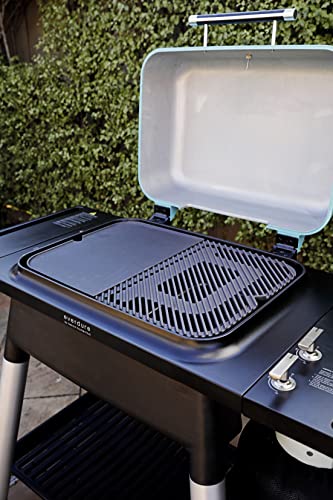 Everdure FORCE 2 Burner Gas Grill, Liquid Propane Portable BBQ Grill with Die-Cast Aluminum Body and Fast-Ignition Technology, 388 Square Inches of Grilling Surface, Adjustable Height, Graphite