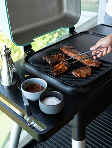 Everdure FORCE 2 Burner Gas Grill, Liquid Propane Portable BBQ Grill with Die-Cast Aluminum Body and Fast-Ignition Technology, 388 Square Inches of Grilling Surface, Adjustable Height, Graphite