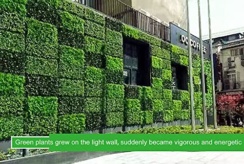 AI HUI Artificial Ivy Privacy Fence Screen 2PCS Square Greenery Walls Outdoor Privacy Screen Halloween Decorations Grass Backdrop Wall Panels for Indoor Garden Fence Greenery Walls