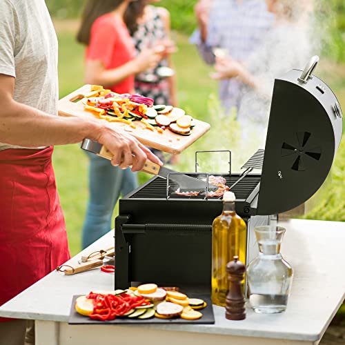 Grills House Portable Charcoal Grill with Two Side Handles, Compact Outdoor Charcoal Grill for Travel, Picnic, Tailgate, and Campsite Cooking, CD1519-SC, Black