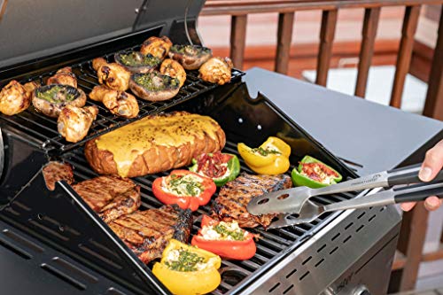 Megamaster 720-0864MA 2 Burner Propane Barbecue Gas Grill, for Camping, Outdoor Cooking, Patio, Garden Barbecue Grill, 28000 BTUs, with Foldable Side Table, Silver and Black
