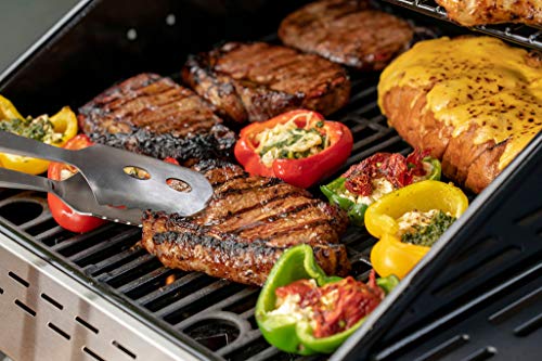 Megamaster 720-0864MA 2 Burner Propane Barbecue Gas Grill, for Camping, Outdoor Cooking, Patio, Garden Barbecue Grill, 28000 BTUs, with Foldable Side Table, Silver and Black