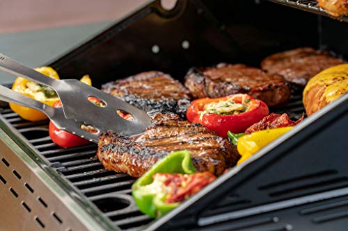 Megamaster 720-0864MA 2 Burner Propane Barbecue Gas Grill, for Camping, Outdoor Cooking, Patio, Garden Barbecue Grill, 28000 BTUs, with Foldable Side Table, Silver and Black