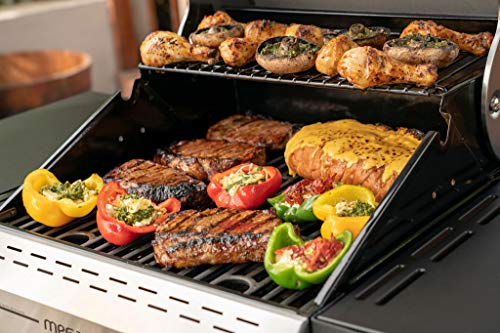 Megamaster 720-0864MA 2 Burner Propane Barbecue Gas Grill, for Camping, Outdoor Cooking, Patio, Garden Barbecue Grill, 28000 BTUs, with Foldable Side Table, Silver and Black