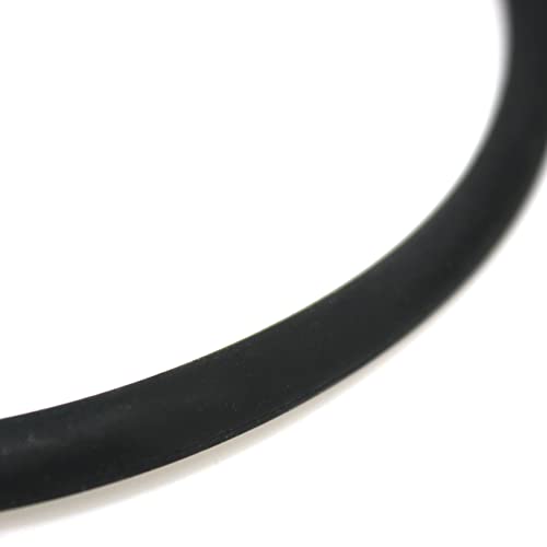 AppliaFit Lid O-Ring Compatible with Jandy Zodiac R0480200 for VS FloPro and FloPro FHPF and FHPM Series Pool Pumps (1-Pack)