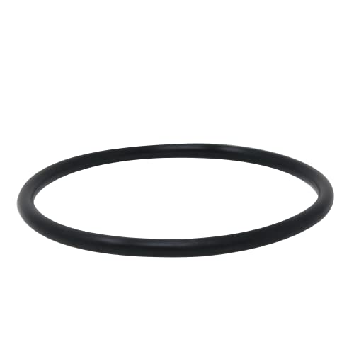 AppliaFit Lid O-Ring Compatible with Jandy Zodiac R0480200 for VS FloPro and FloPro FHPF and FHPM Series Pool Pumps (1-Pack)