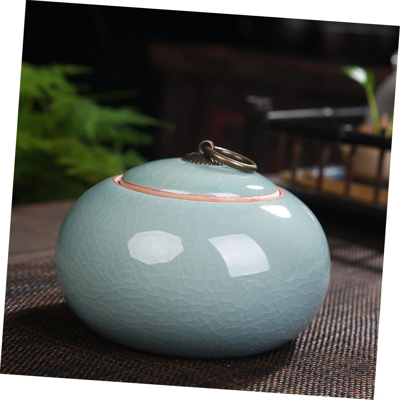 EXQUIMEUBLE Ceramic Tea Vintage Tea Kettle Metal Container Ceramic Canisters with Lids Tea Bag Holder Tea Storage Holder Porcelain Loose Tea Jar Tea Holder with Lid Candy Jar Pu'er China