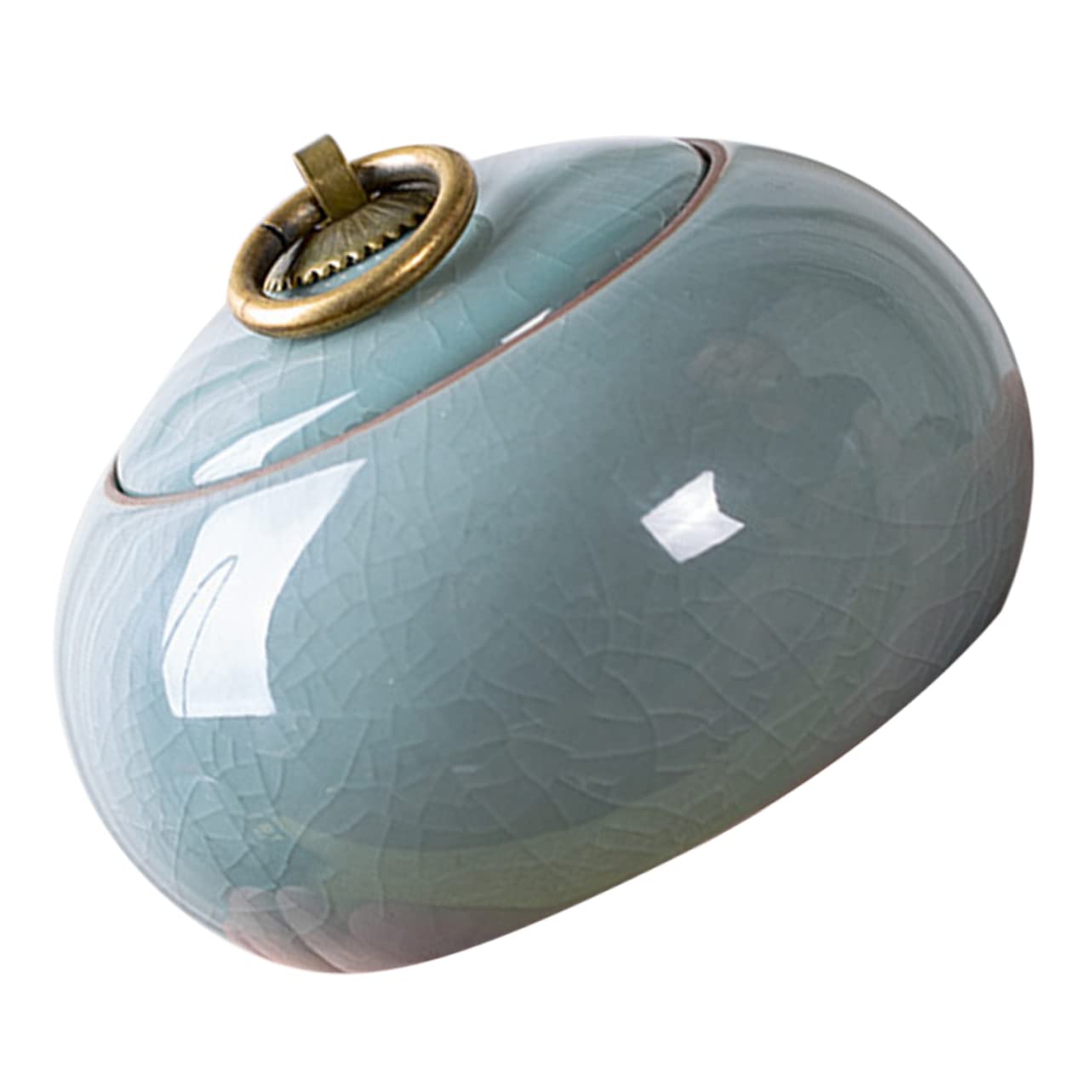 EXQUIMEUBLE Ceramic Tea Vintage Tea Kettle Metal Container Ceramic Canisters with Lids Tea Bag Holder Tea Storage Holder Porcelain Loose Tea Jar Tea Holder with Lid Candy Jar Pu'er China