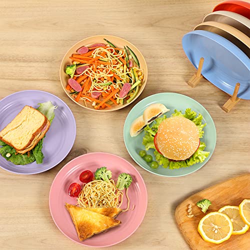 ZongXing 14 Pack Plates Set, 9 inch Wheat Straw Plates, Lightweight Unbreakable Dinner Plates Set, Healthy Cereal Dishes Dishwasher & Microwave Safe, Multi Color