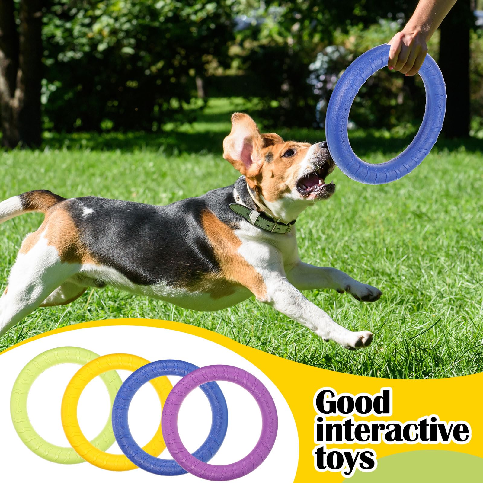 Liliful 4 Pcs Outdoor Dog Toy Dog Ring Toy Dog Flying Discs Dog Chew Toy Dog Playground Equipment for Small Medium Large Dog Training Fetching Throwing Catching Interactive Play, 4 Colors