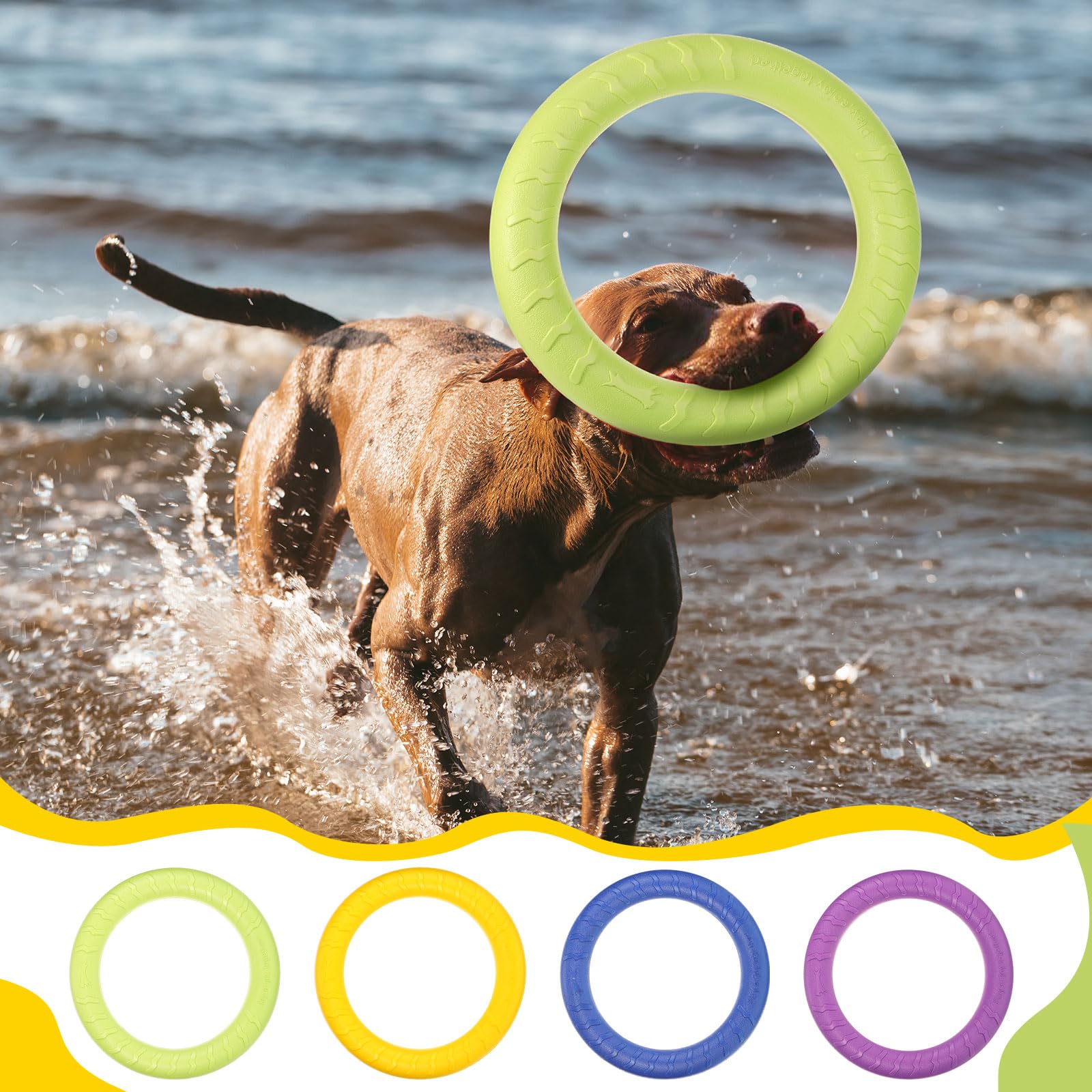 Liliful 4 Pcs Outdoor Dog Toy Dog Ring Toy Dog Flying Discs Dog Chew Toy Dog Playground Equipment for Small Medium Large Dog Training Fetching Throwing Catching Interactive Play, 4 Colors