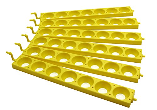 Hova-Bator GQF Automatic Egg Turner - Quail to Duck Egg