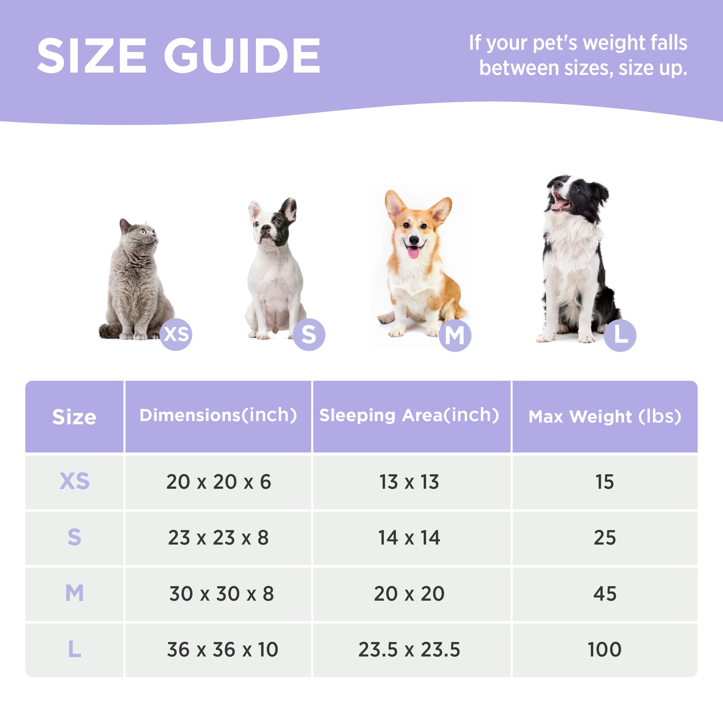 Lesure Donut Small Dog Bed - Round Cat Beds for Indoor Cats Calming Pet Beds, Cute Modern Beds with Jacquard Shaggy Plush & Anti Slip Bottom, 30 Inch, Purple