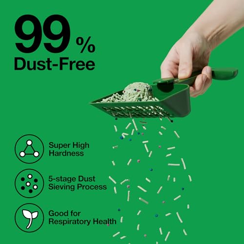 VETRESKA Tofu Cat Litter,Natural Kitty Litter Strong Clumping Flushable Cat Litter Pellets Ultra Absorbent Deodorant Tofu Litter,Dust-Free,Low Tracking,Eco-Friendly,Green Tea(5.5lb×1bag)