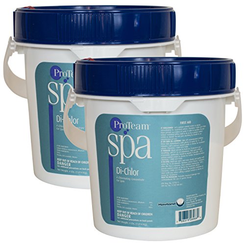 ProTeam Spa Di Chlor (4 lb) (2 Pack)