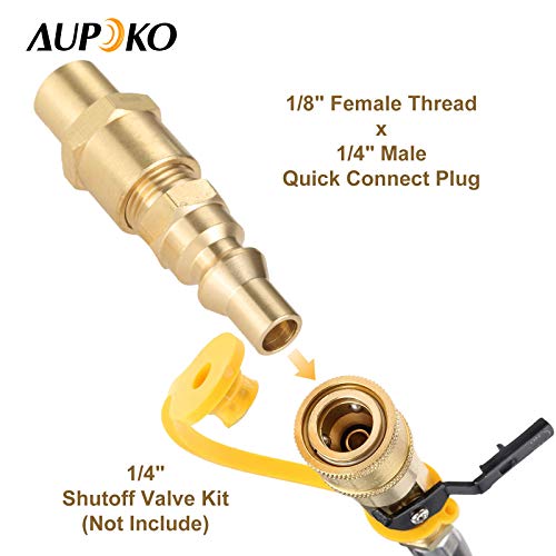 Aupoko 1/4 inch RV Quick Connect Adapter Conversion Fitting, Propane Quick Disconnect Conversion Kit Replacement for Weber Q 100, 1000, 200, 2000, 1200, 2200 Portable Gas Grill