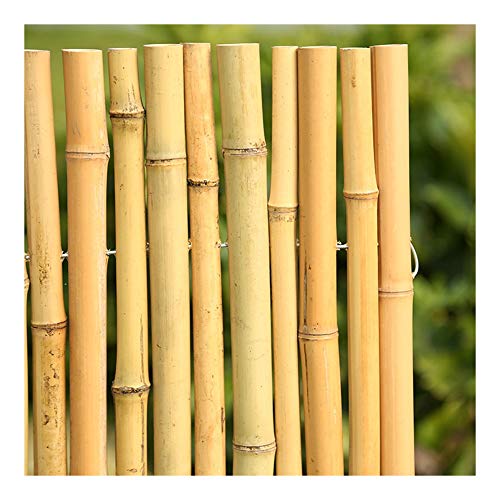 GDMING 2020 Update Bamboo Natural Garden Fencing Screening Walls and Fences Roll Outdoor Privacy Decorative Weather Resistant Easy to Install, 2 Colors, 12 Sizes (Color : Natural, Size : 1.5x3m)