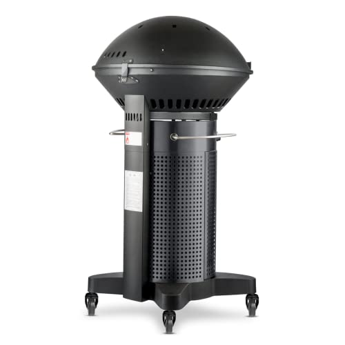 Fuego F24C Professional Propane Gas Grill