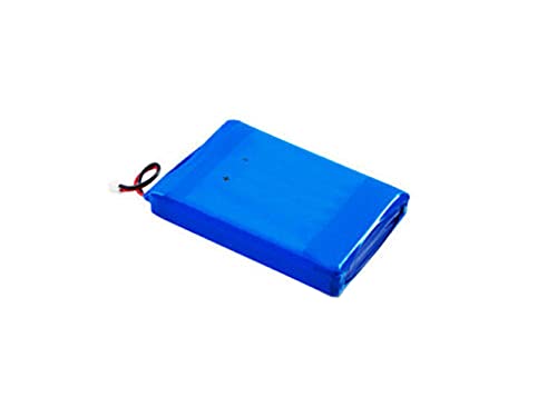 Pentair 520815Z Battery Mobiletouch2 Replacement Kit (Battery Only)