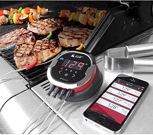 DELSbbq 4 Pack Meat Probe for Weber iGrill