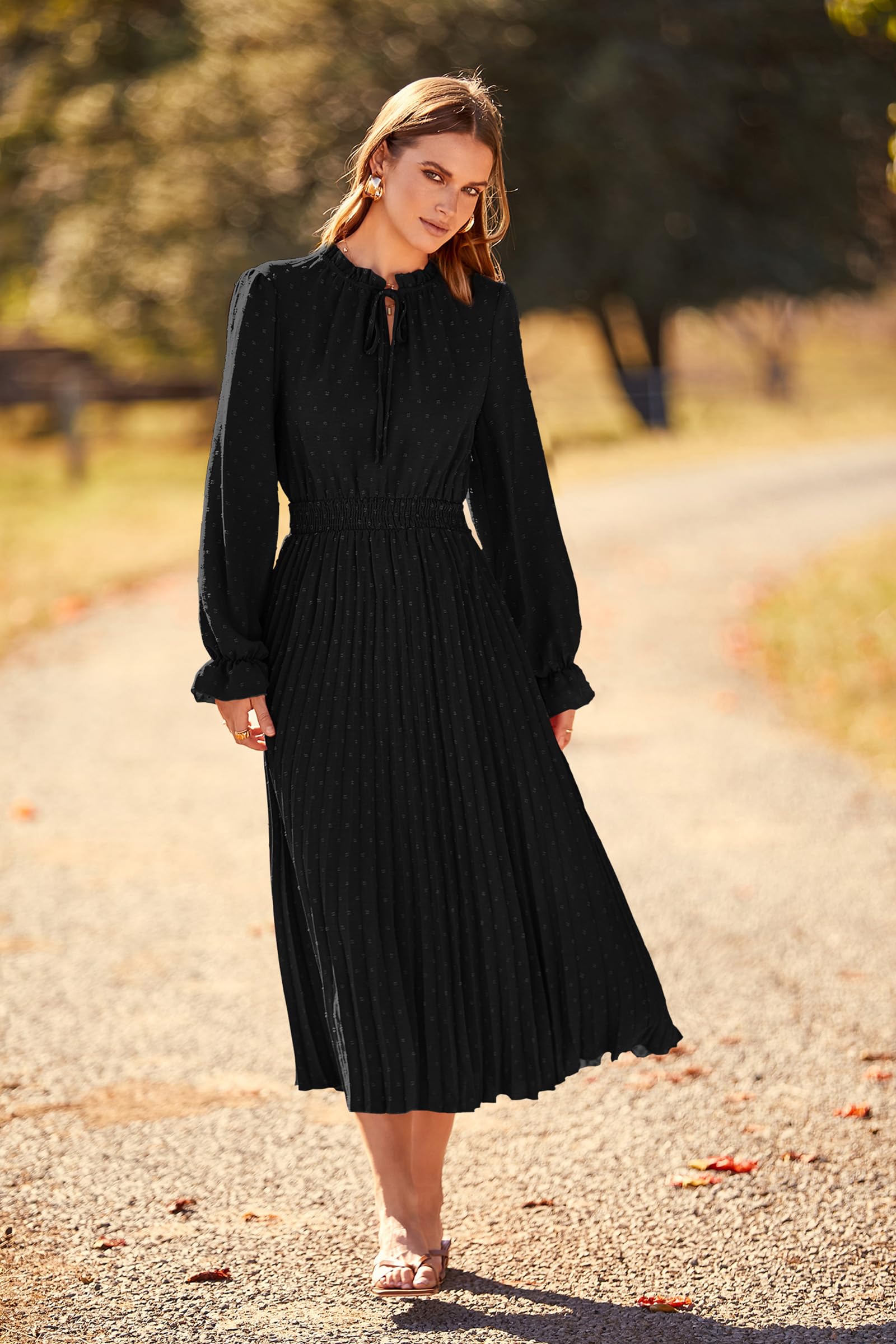 PRETTYGARDEN Women's 2024 Fall Midi Dress Casual Long Sleeve V Neck Swiss Dot Pleated A Line Flowy Dresses (Black,Medium)