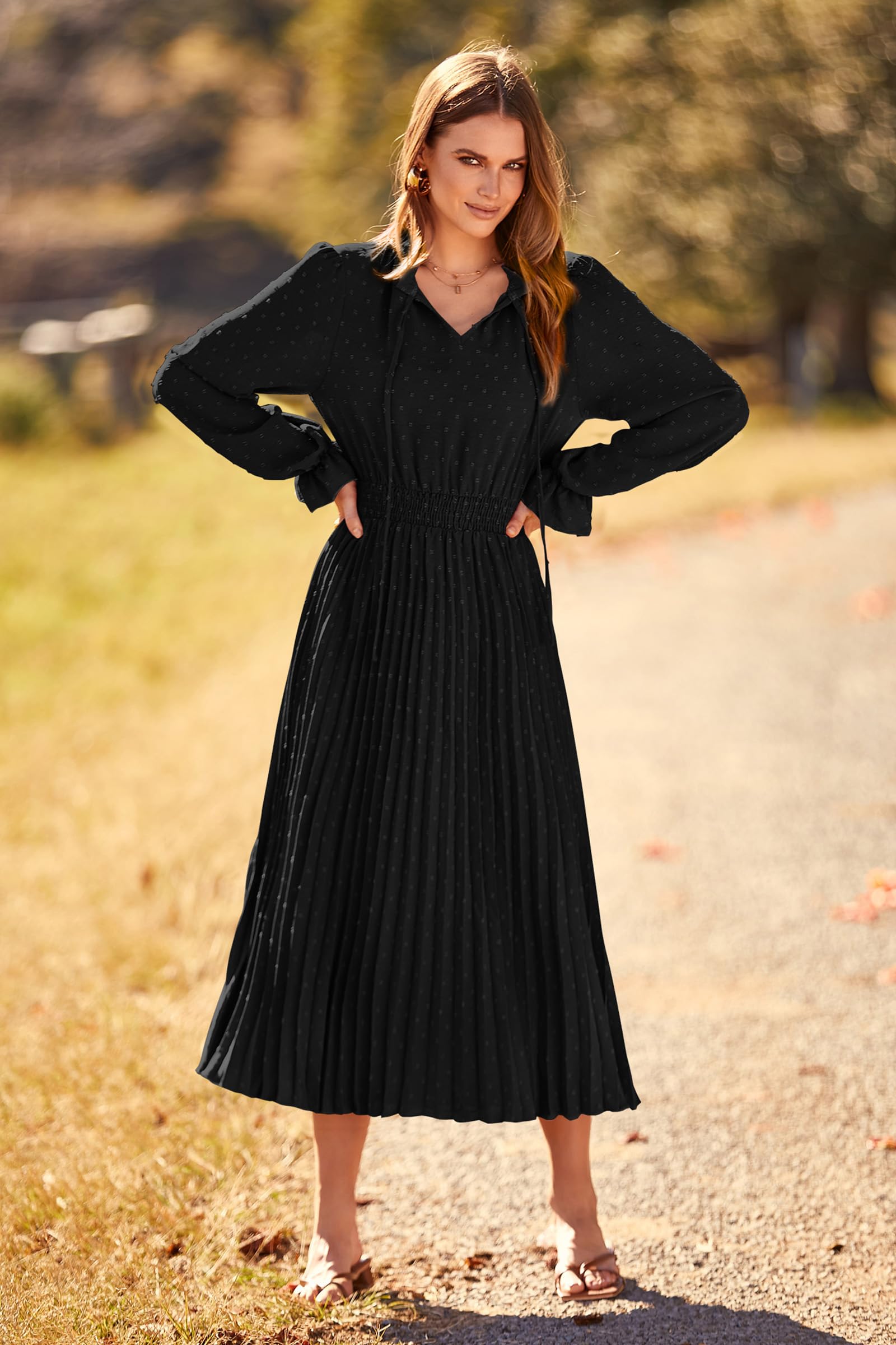PRETTYGARDEN Women's 2024 Fall Midi Dress Casual Long Sleeve V Neck Swiss Dot Pleated A Line Flowy Dresses (Black,Medium)