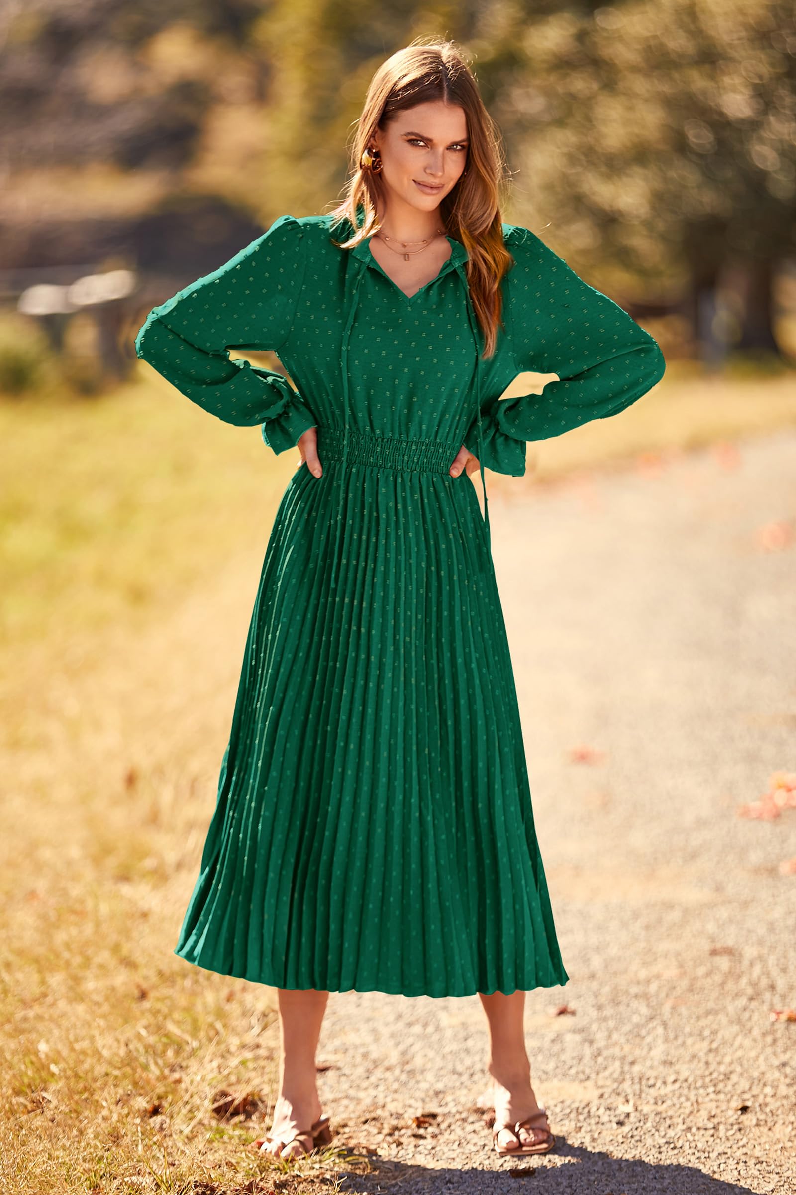 PRETTYGARDEN Women's 2025 Spring Fall Midi Dress Casual Long Sleeve V Neck Swiss Dot Pleated A Line Flowy Dresses (Dark Green,Medium)