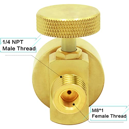 MCAMPAS Disposable Adjustable Pressure Propane Gas Regulator Valve,1LB Tank Connection Needle Valve x 1/4" NPT Male (Tapped M8 Female) Adapter Fitting