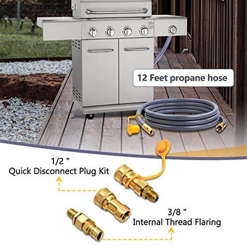 12FT Natural Gas Conversion Kit,52066 Gas Conversion Kit,65,000 BTU Natural Gas Hose and Regulator Compatible with Grill Kitchen Auxiliary Gas Grill