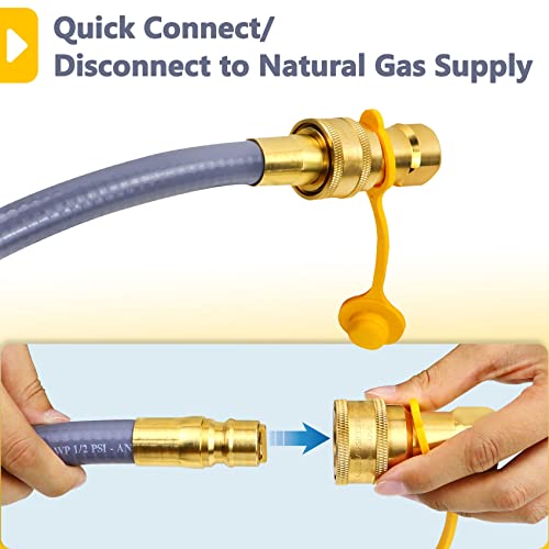 12FT Natural Gas Conversion Kit,52066 Gas Conversion Kit,65,000 BTU Natural Gas Hose and Regulator Compatible with Grill Kitchen Auxiliary Gas Grill