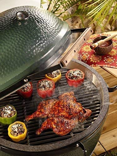 Hongso 18 3/16 Inch Porcelain Coated Cooking Grid Grates Polished Non-Stick Replacement for Large Big Green Egg, Vision Grill VGKSS-CC2, B-11N1A1-Y2A, Accessories,Other Kamado Grill, PCI991